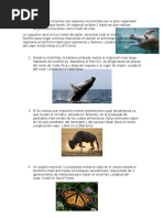 10 Animales Que Nadan | PDF