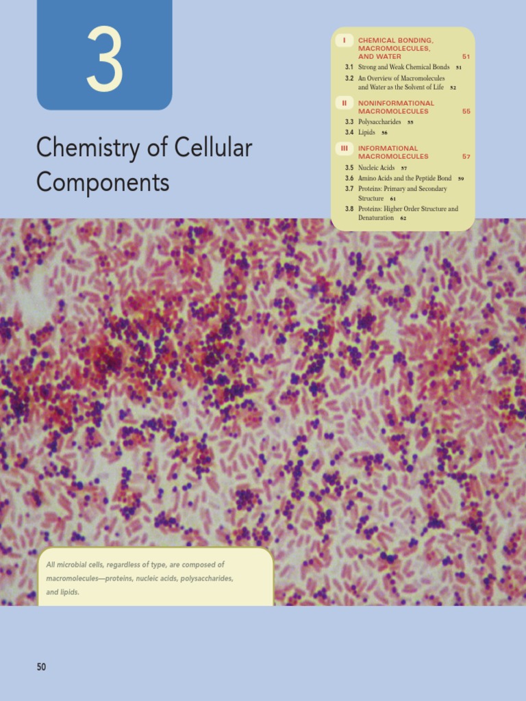 Chemistry of Cellular Components | PDF | Macromolecules | Carbohydrates