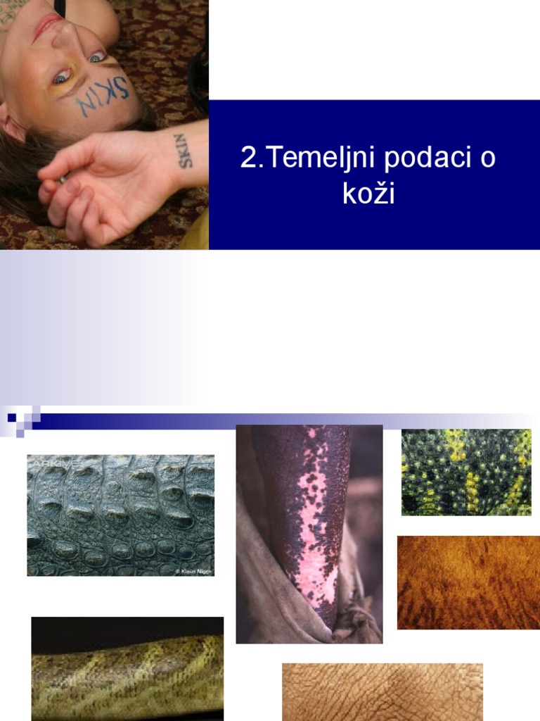 Adja Koze 1 | PDF