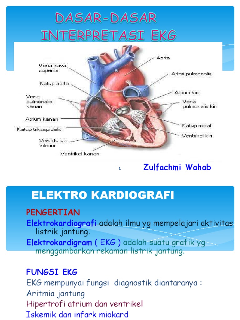 Dasar Dasar Ekg | PDF