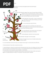 El Mamon en Venezuela | PDF | Alimentos | Plantas comestibles
