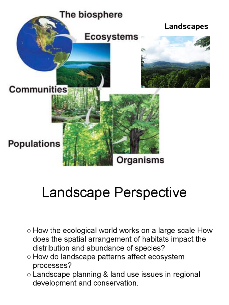 Landscape Ecology PDF | PDF | Ecology | Biogeography