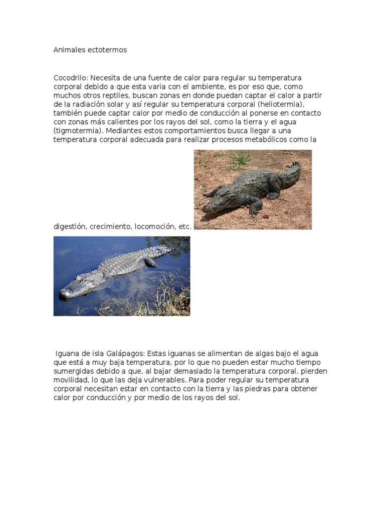 Animales Ectotermos | PDF