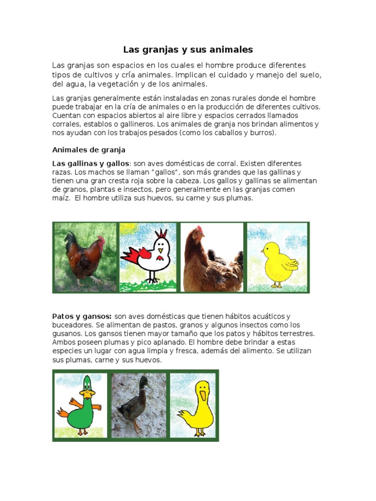 Las Granjas y Sus Animales | PDF | Pollo | Oveja