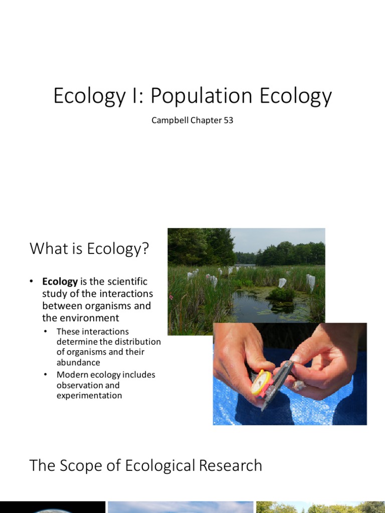 Ecology I: Population Ecology: Campbell Chapter 53 | PDF | Population ...