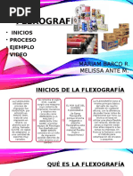 26 - Manual de Flexografía | PDF | Imprenta | Impresora (Computación)