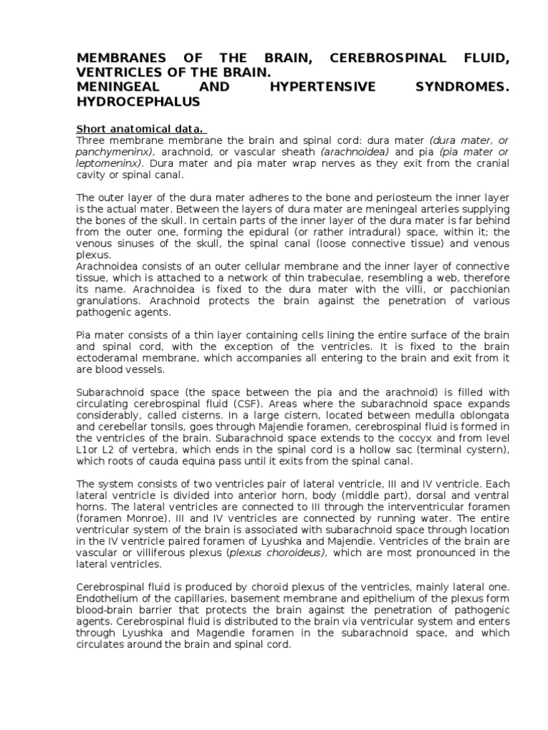 CSF | PDF | Cerebrospinal Fluid | Nervous System