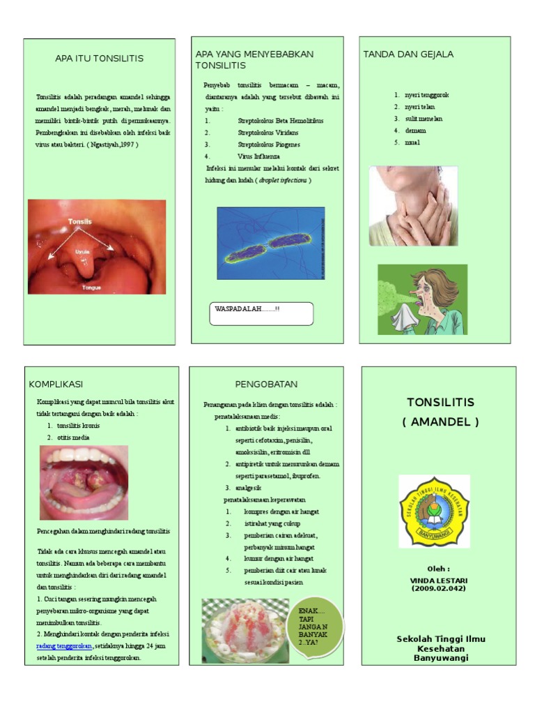 Leaflet Tonsil | PDF