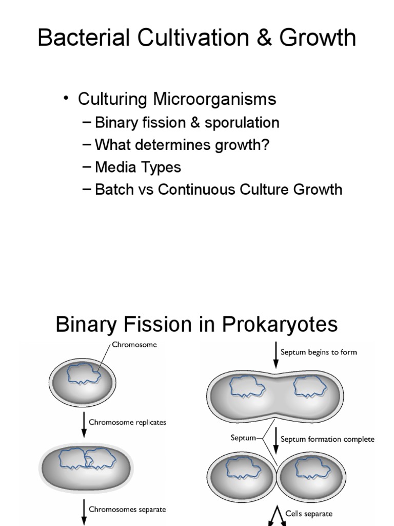 Bacterial Cultivation & Growth: - Culturing Microorganisms | PDF ...