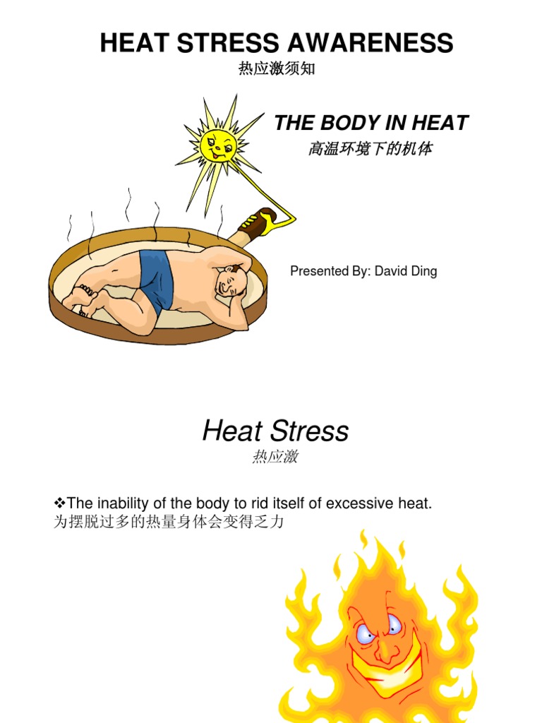 Preventing Heat Stress: Understanding the Body's Response to High ...