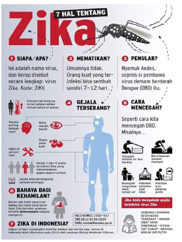Leaflet Zika | PDF | Zika Virus | Sexually Transmitted Diseases And ...