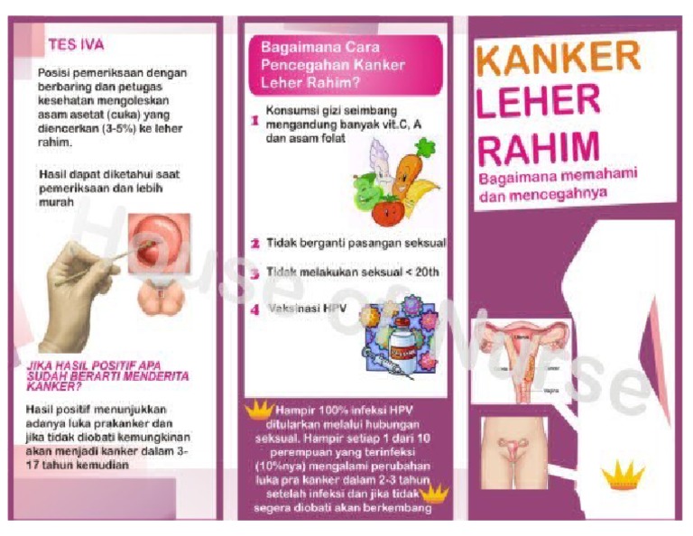 Leaflet Kanker Leher Rahim | PDF