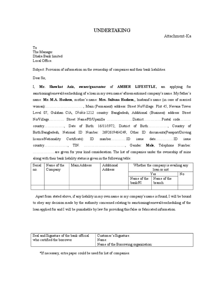 CIB Undertaking | PDF | Government Information | Government