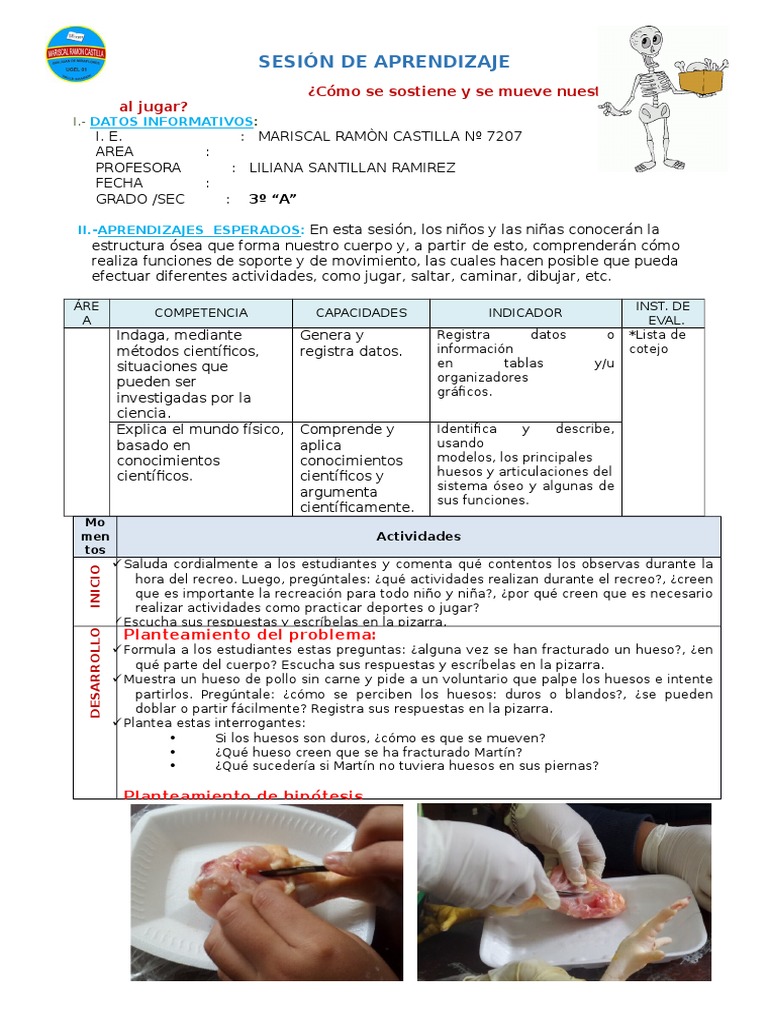 Sesion De Aprendizaje Sistema Oseo Hueso Pollo