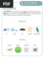 Science Worksheet 6th Form ECOSYSTEMS | PDF | Ecosystem | Forests