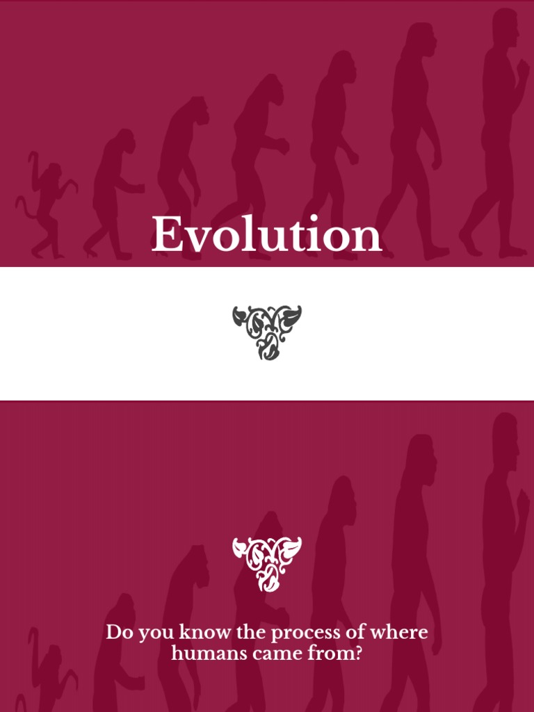 The Evolution Theory PBL Project | PDF | Natural Selection | Evolution
