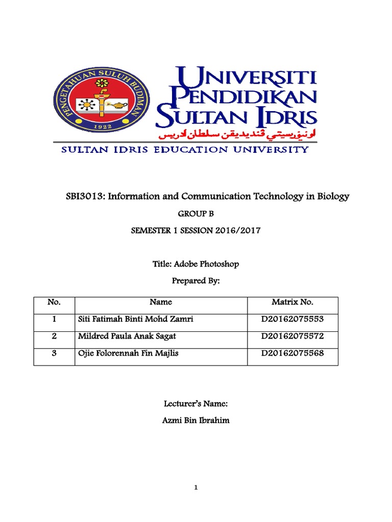 Assignment 4 SBI3013 - Adobe Photoshop | PDF | Image Editing | Adobe ...