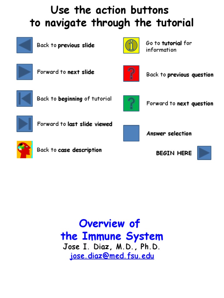 Overview of Immune System | PDF | Adaptive Immune System | Granulocyte