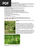 Ofo Aje Saluga | PDF | Gastronomia, comida e vinho