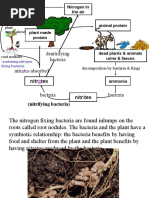 CXC English A Summary Writing | PDF | Tarzan | Word