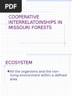 CXC English A Summary Writing | PDF | Tarzan | Word