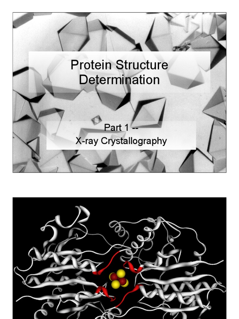 Protein Structure Determination: Part 1 - X-Ray Crystallography ...
