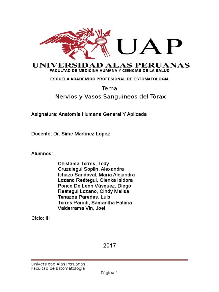 Anatomia Vasos y Nervios Del Torax | PDF | Aorta | Tórax