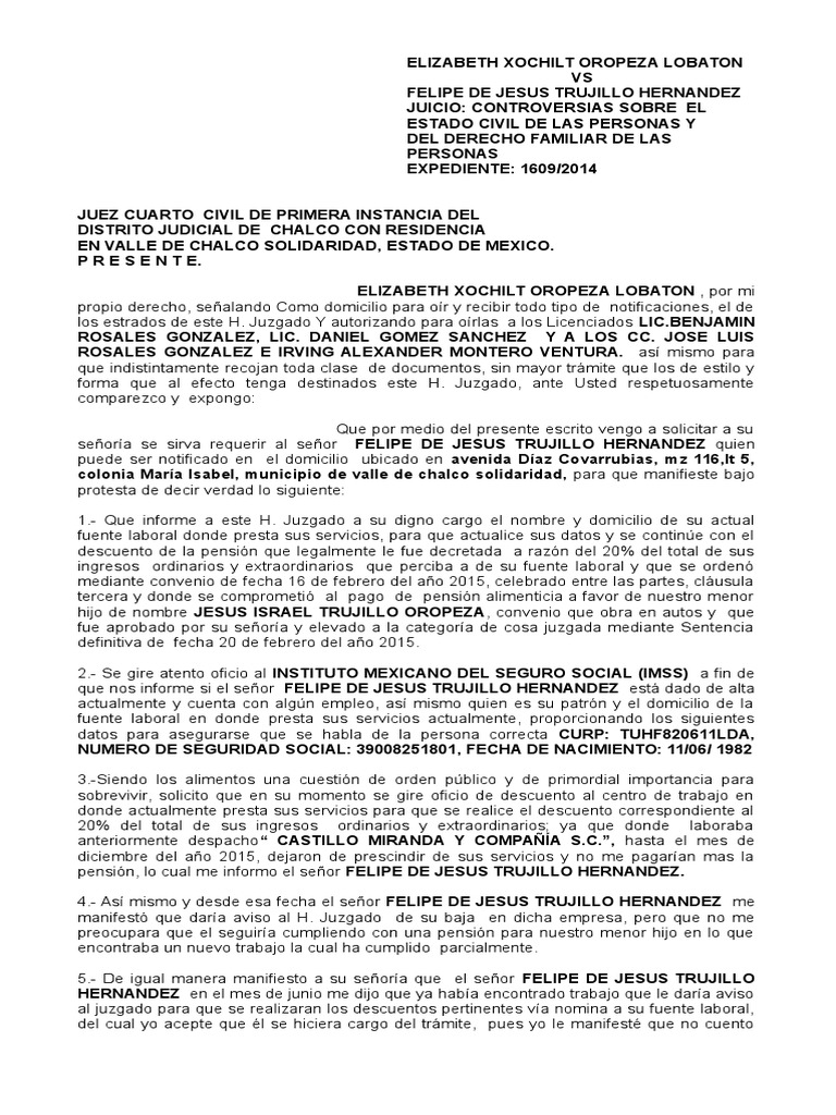 Incidente de Pension Elizabeth Oropeza Lobaton | PDF | Manutención de ...