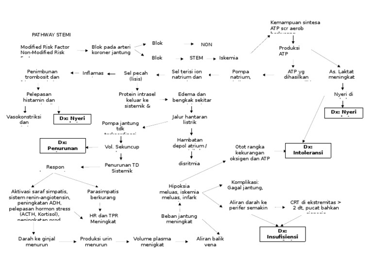 Pathway Stemi | PDF