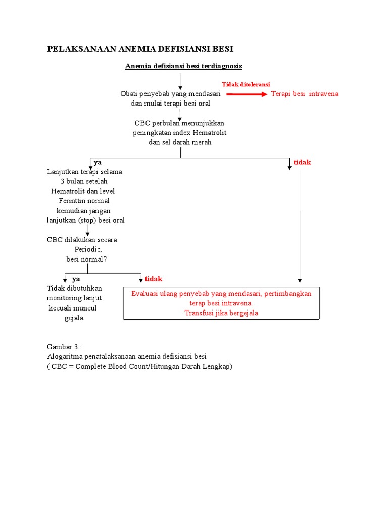 Tatalaksana Anemia Defisiensi Besi | PDF