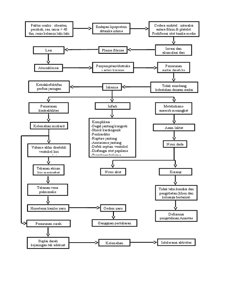 Pathway STEMI | PDF