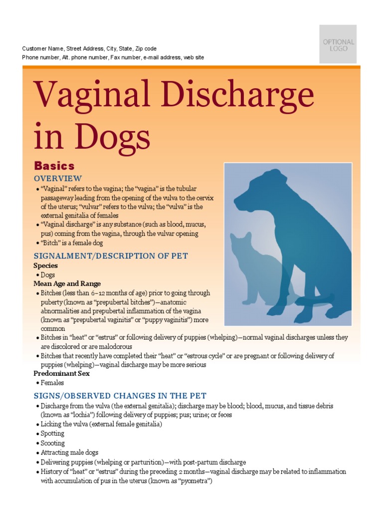 Vaginal Discharge in Dogs | PDF | Vagina | Neutering