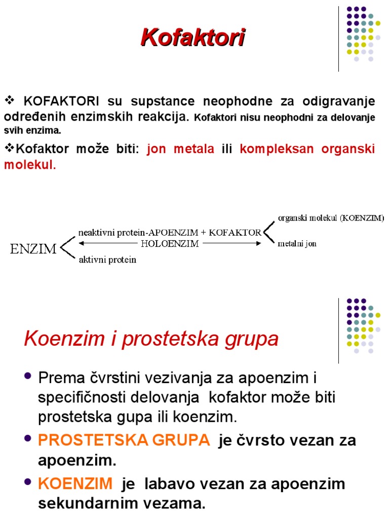 Koenzimi 4 | PDF