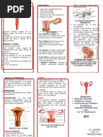 Aparato Reproductor Femenino TRIPTICO | PDF | Vagina | Ciclo menstrual
