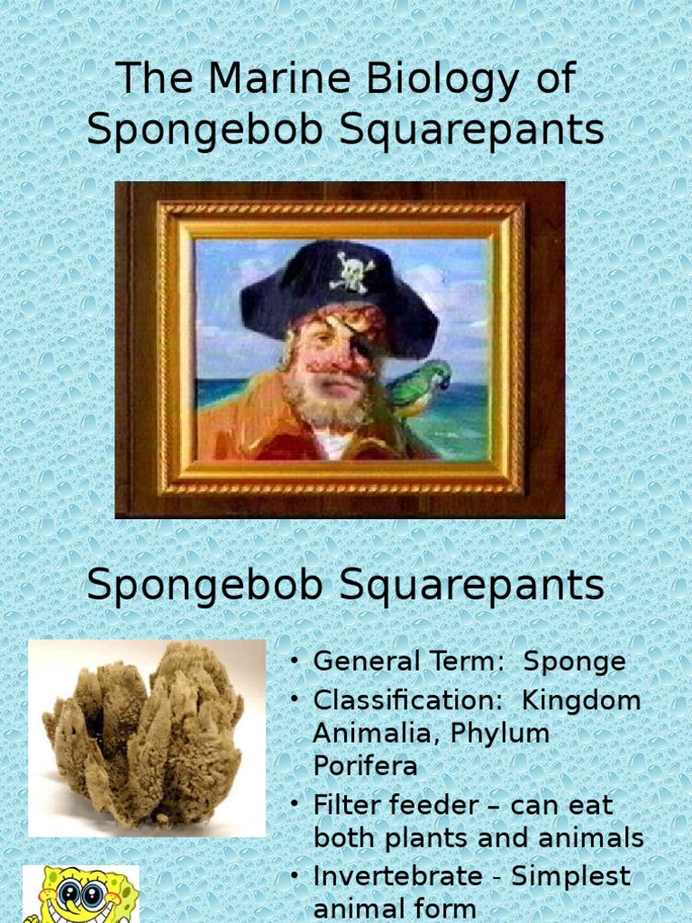 Marine Biology of Spongebob Characters | PDF | Invertebrate | Zoology