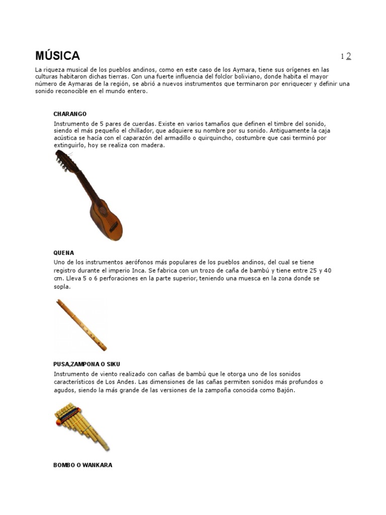 Instrumentos Aymaras