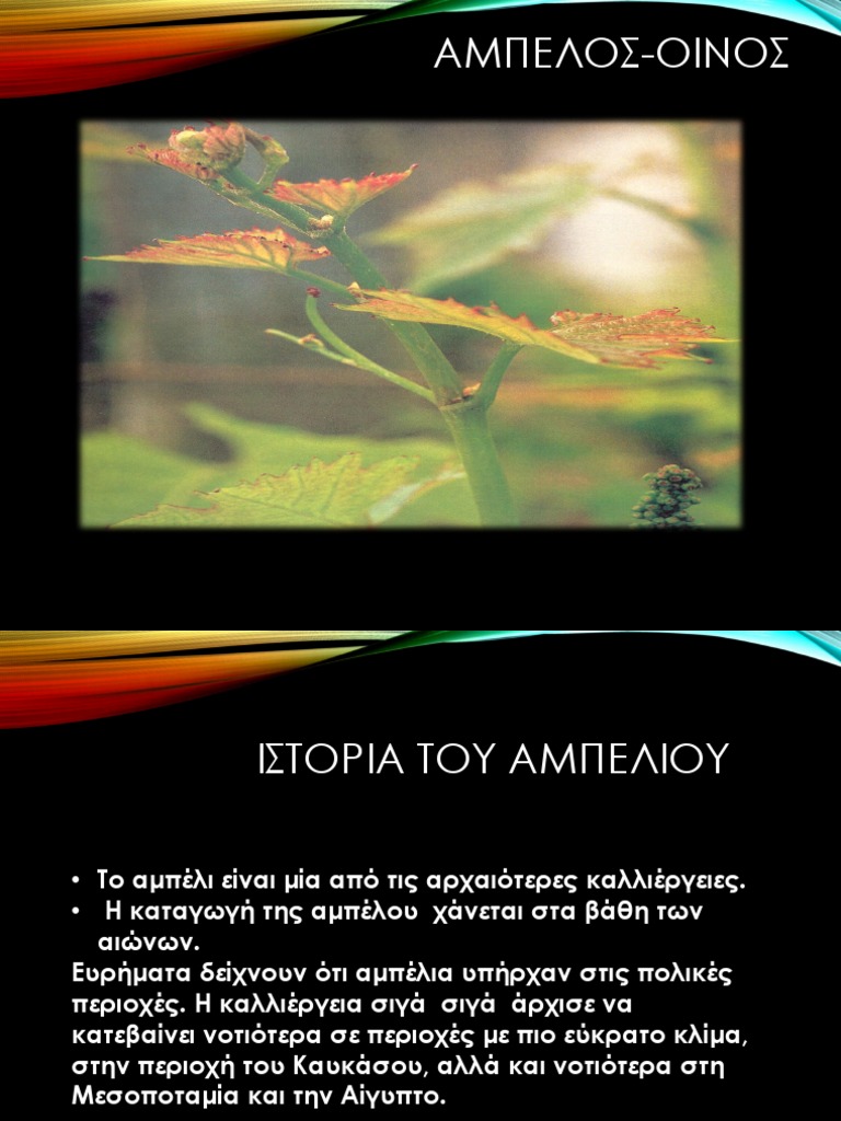 ΙΣΤΟΡΙΑ -ΑΜΠΕΛΙ -ΚΛΙΜΑ | PDF
