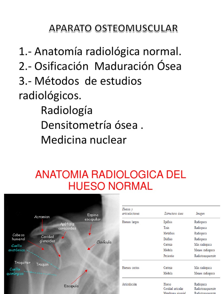 Estimación de la edad ósea mediante el análisis radiológico de la mano ...