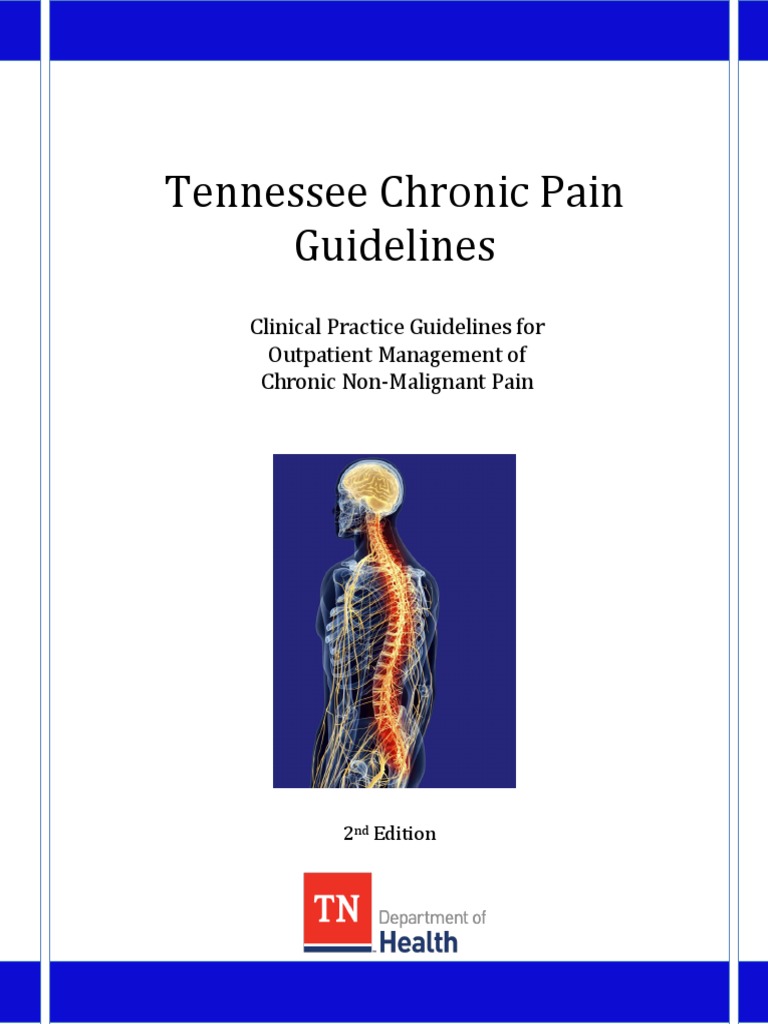 Chronic Pain Guidelines | PDF | Opioid | Substance Abuse