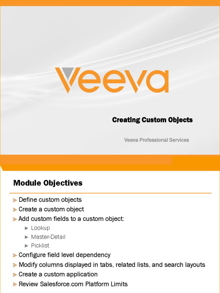 Module 04 Creating Custom Objects Pdf Salesforcecom Business 8233