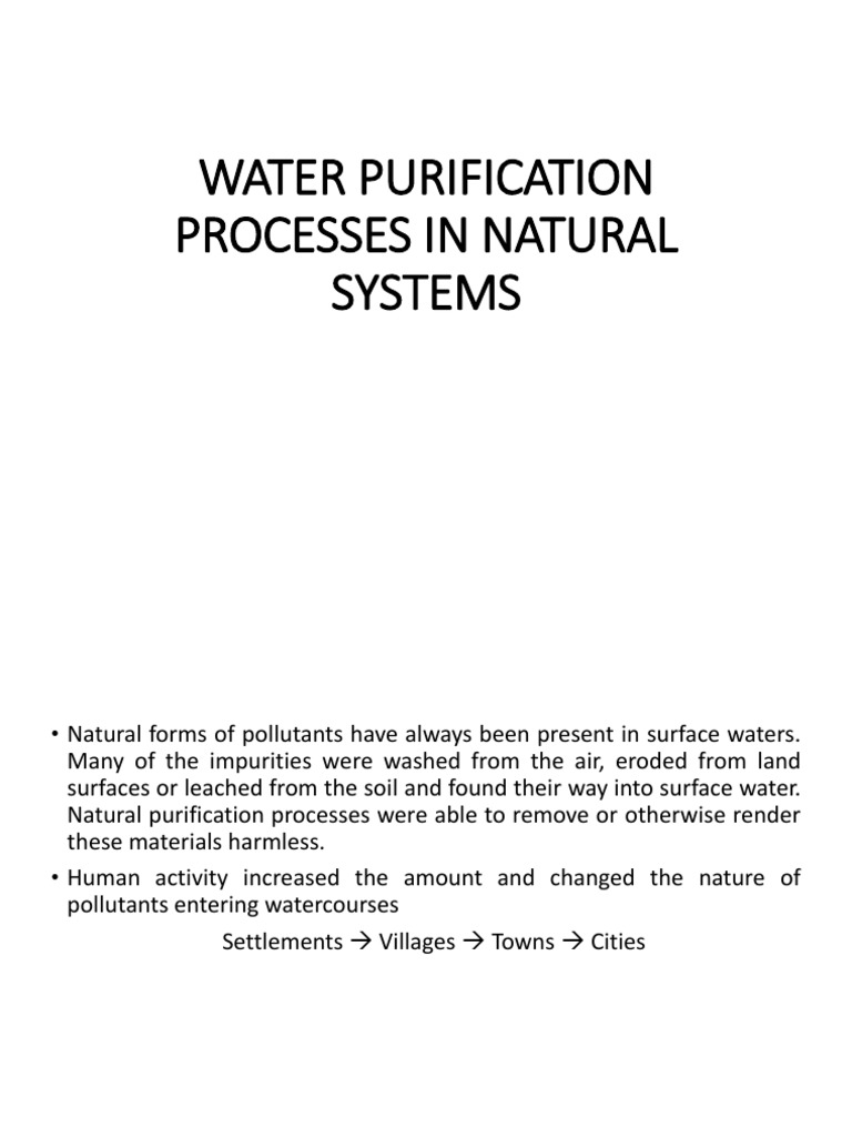 Water Purification in Natural Systems | PDF | Water Pollution | Water ...