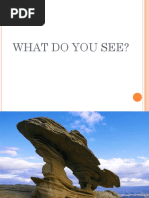 Red Kayak Test Study | PDF