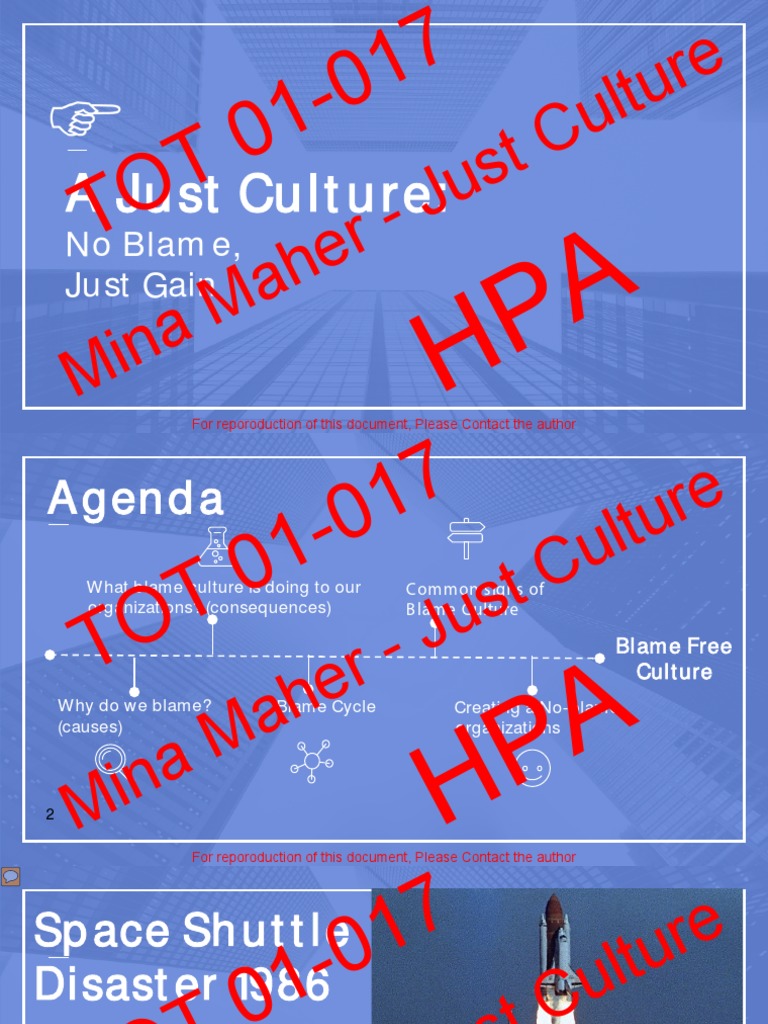 Just Culture | PDF