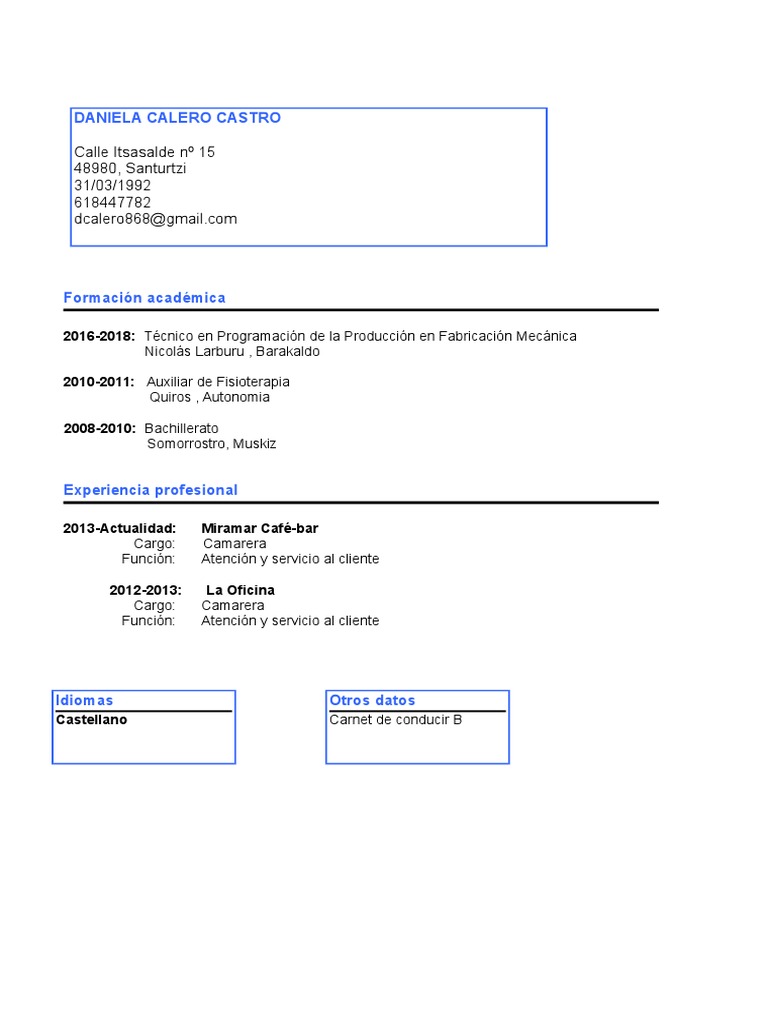 Daniela CV | PDF
