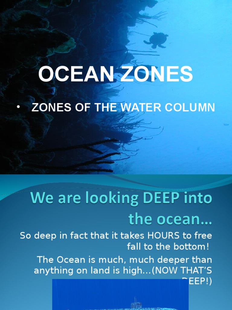 Ocean Zones | PDF | Oceans | Sea