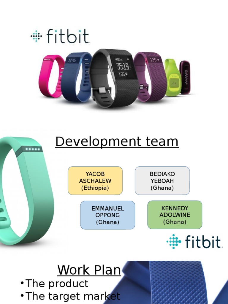 Fitbit Presentation | PDF