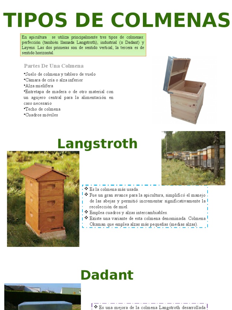 Tipos de Colmenas | PDF | Apicultura | Insectos Agrícolas Beneficiosos