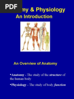 Reaction Time Conversion Table | PDF