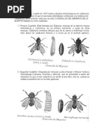 Anillos de Contusión y Enjugamiento | PDF | Mecanica clasica | Cambio