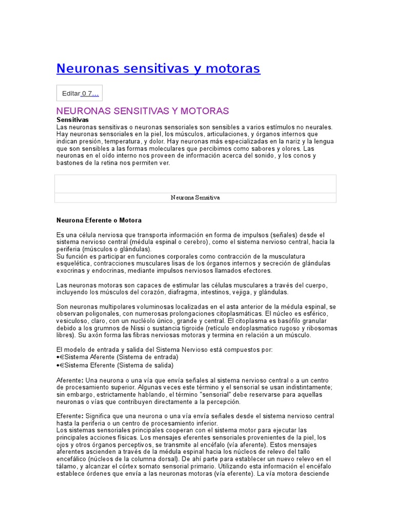 Neuronas Sensitivas y Motoras | PDF | Neurona | Sistema nervioso